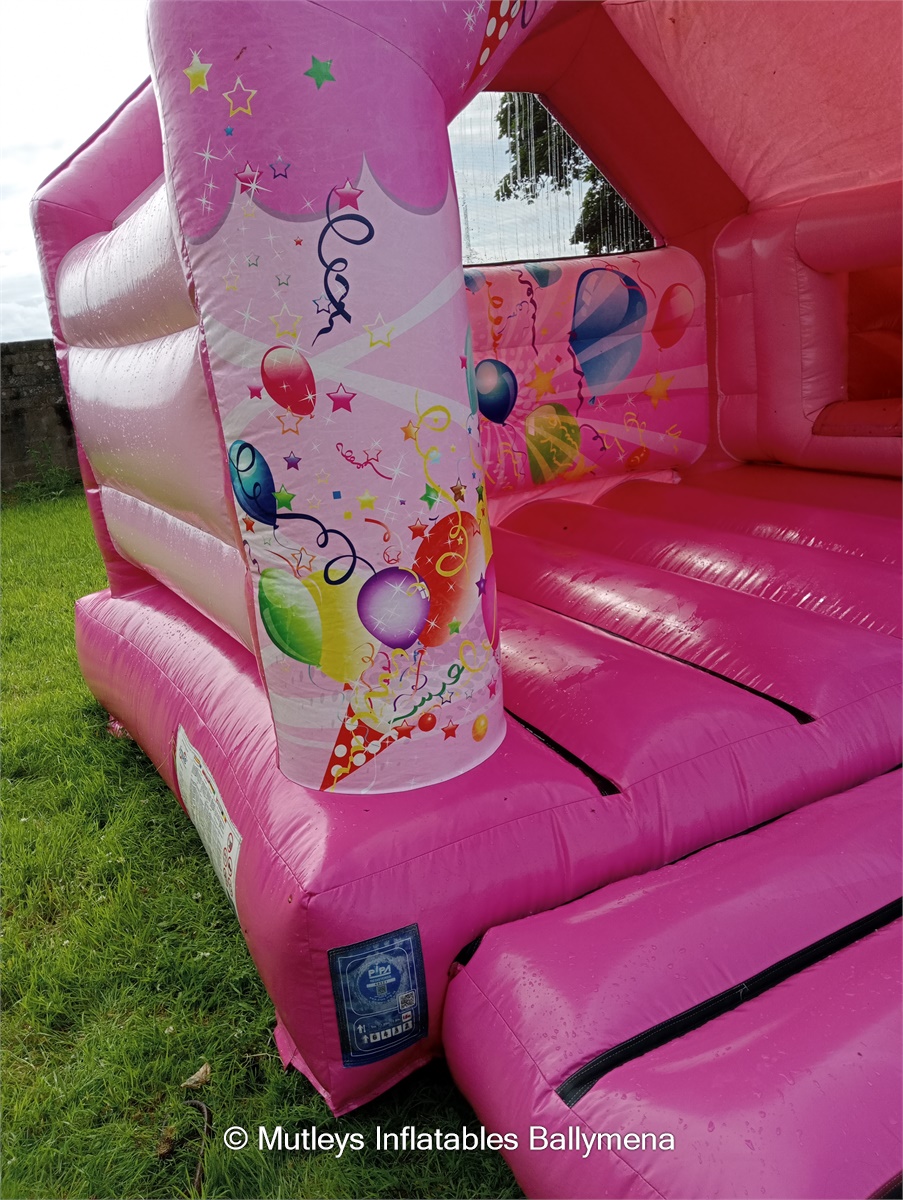 Pink Party Combi with side slide - Bouncy Castle Hire in Ballymena ...